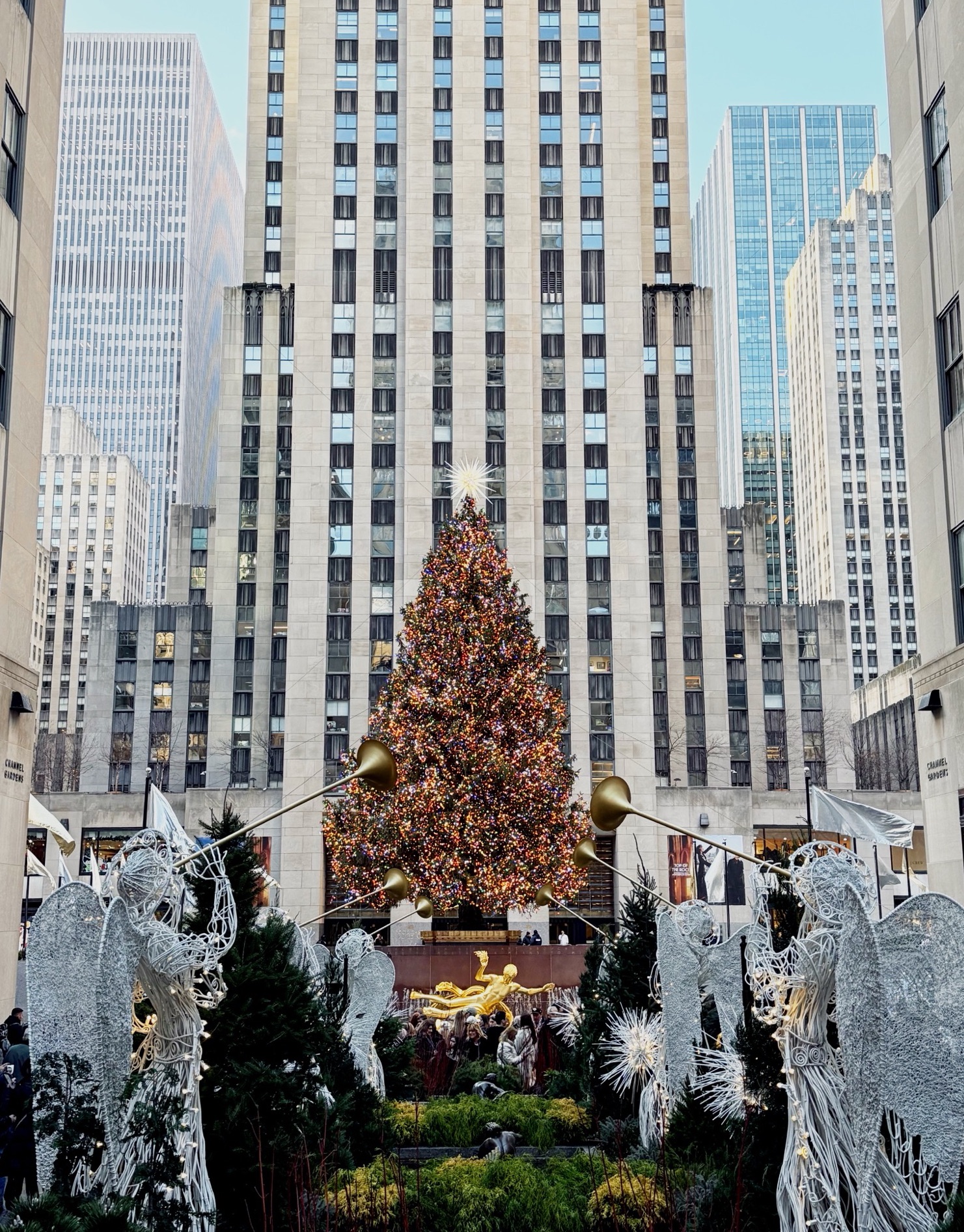 The Rockefeller Center Christmas Tree – Josephine in New York City